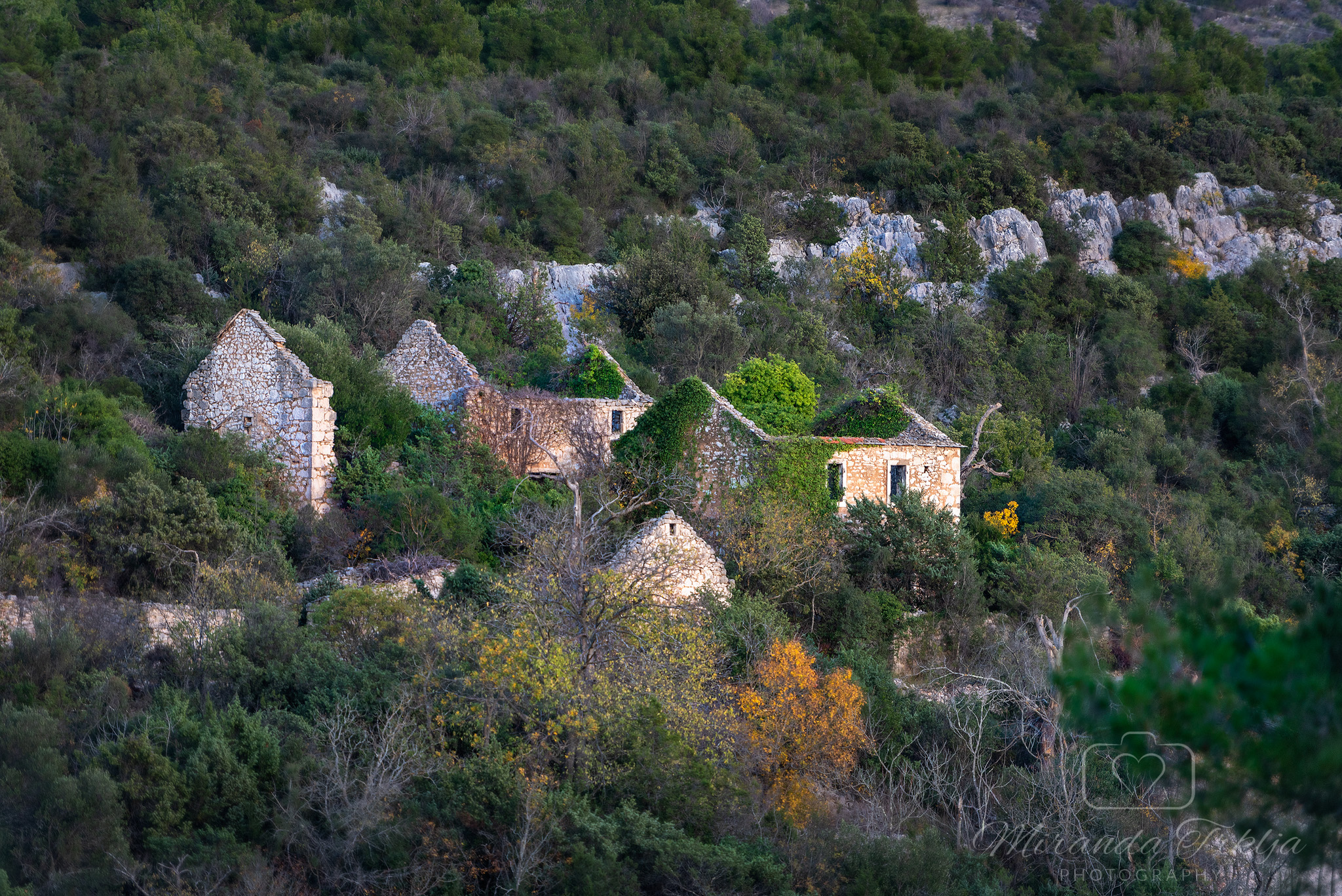Bilice: pitoreskno mjesto u zagrljaju rijeke Krke i Jadrana
